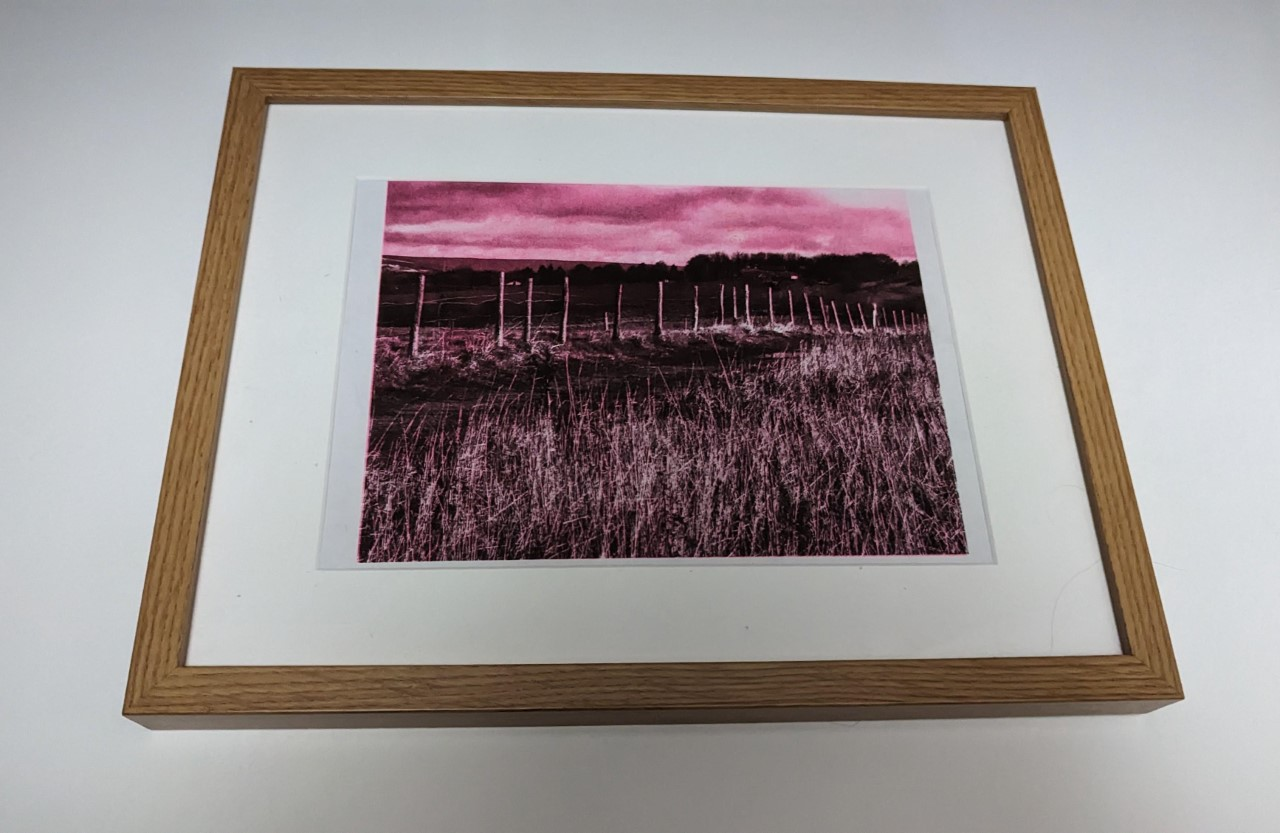 Risograph – Rachel Bakewell