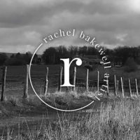 How to Root a Weeping Willow from a Stick or Cutting: A Step-by-Step ...