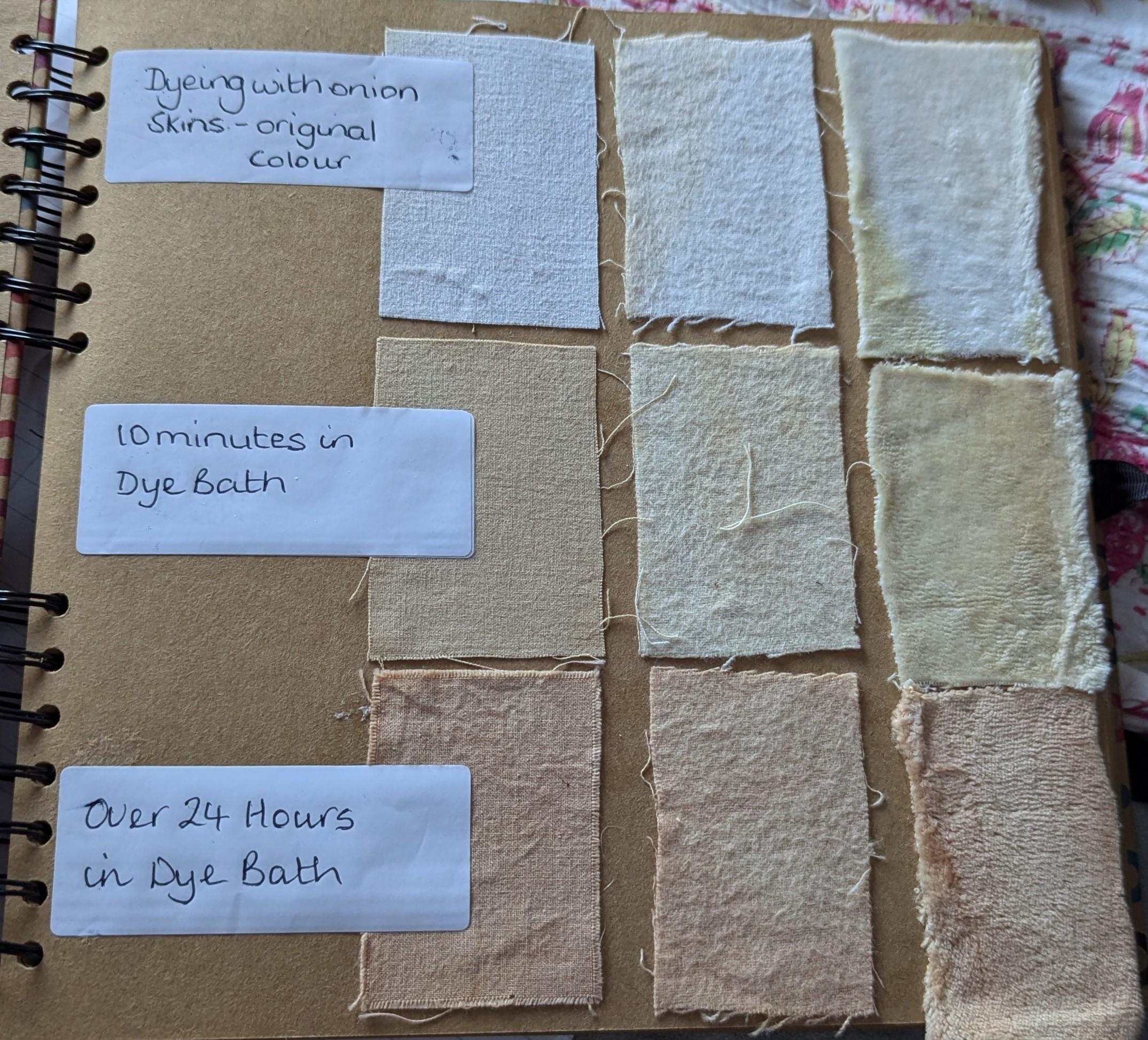 Natural Dyeing with Onion Skins: Testing & Creating Samples – Rachel ...