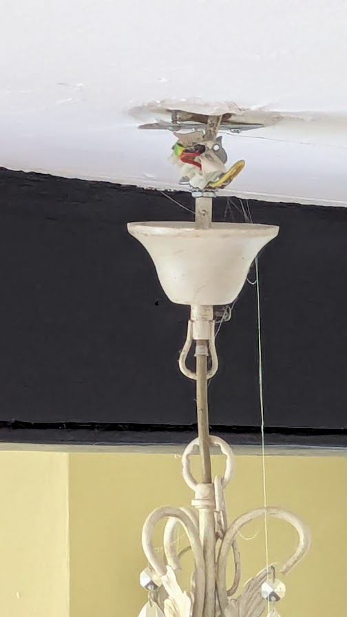 post four: the quirks of the cottage – Rachel Bakewell